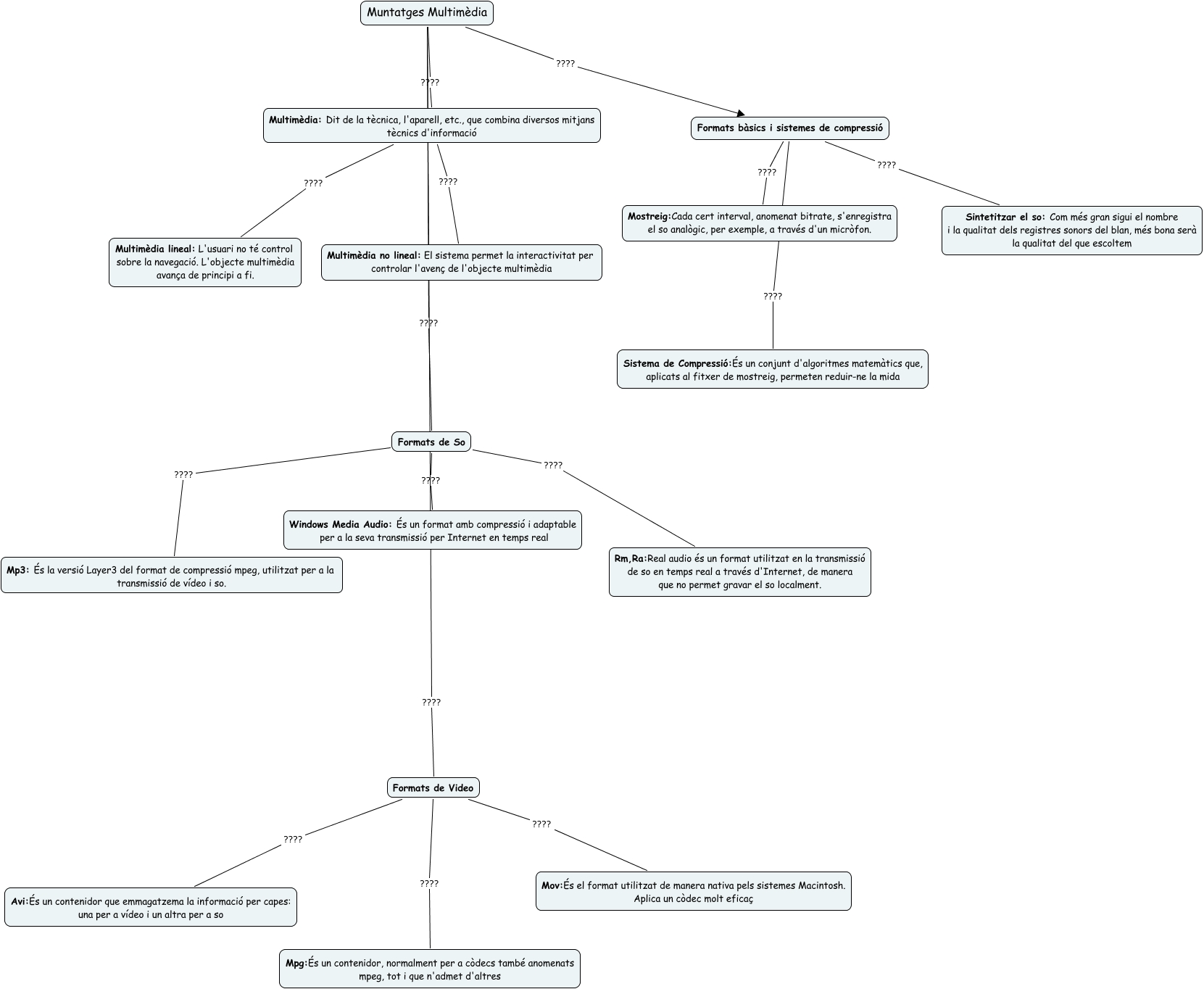 Mapa Conceptual-Muntatges Multimedia